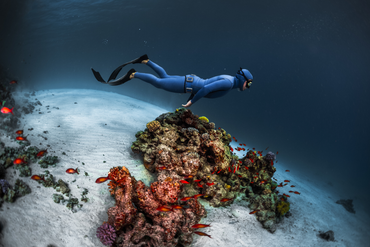 Menikmati Keindahan Bawah Laut Indonesia dengan Freediving