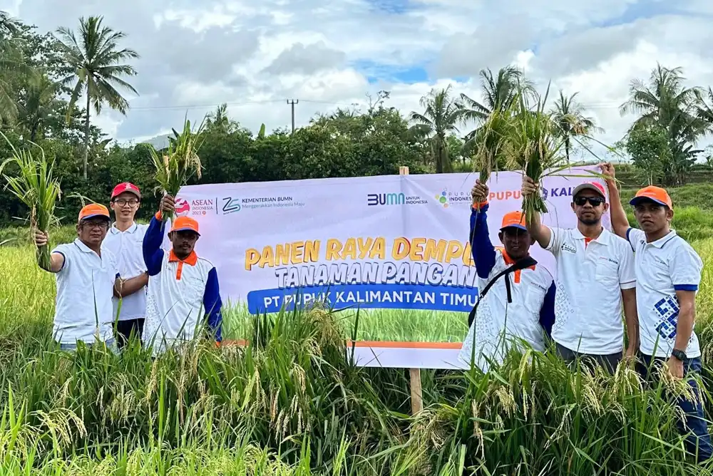 Demplot Pupuk Kaltim Tingkatkan Produksi Padi Bone hingga 100 Persen
